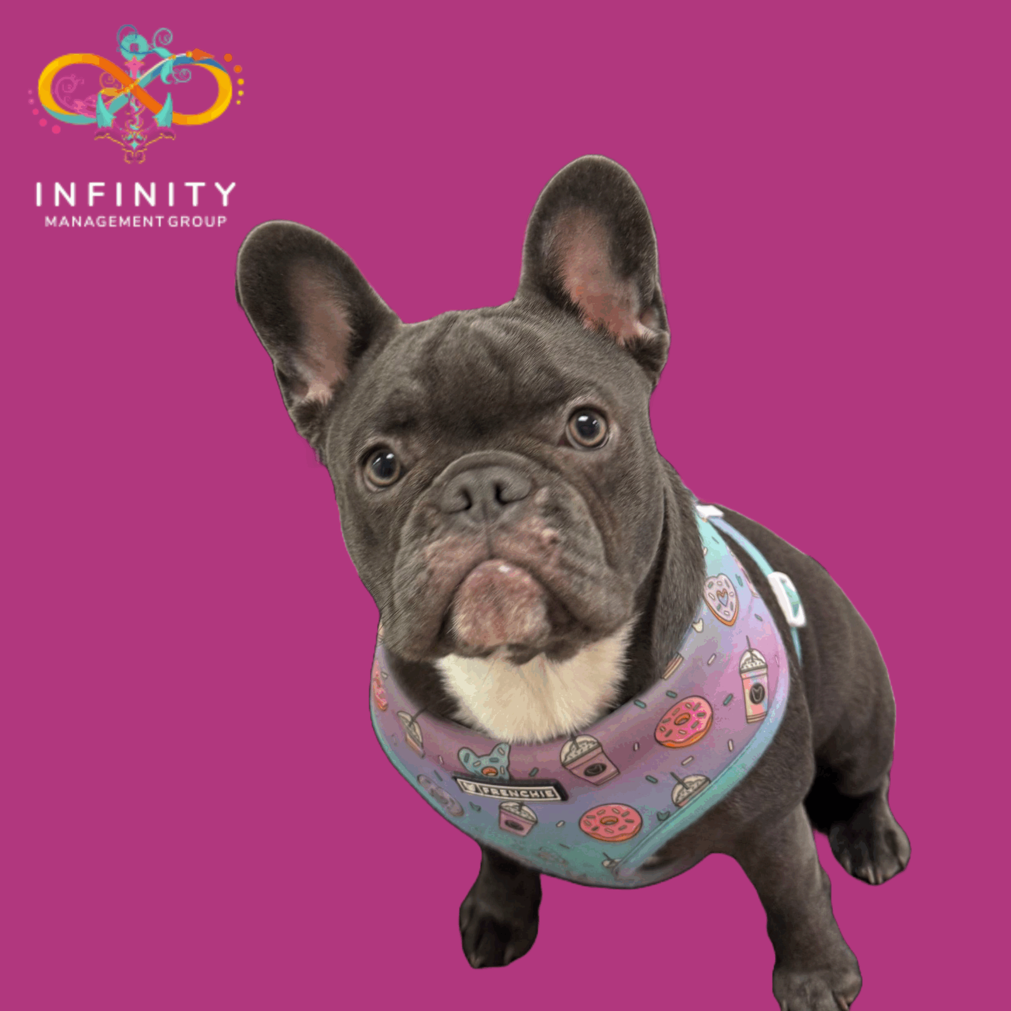 Our Business Development Team - Infinity Management Group